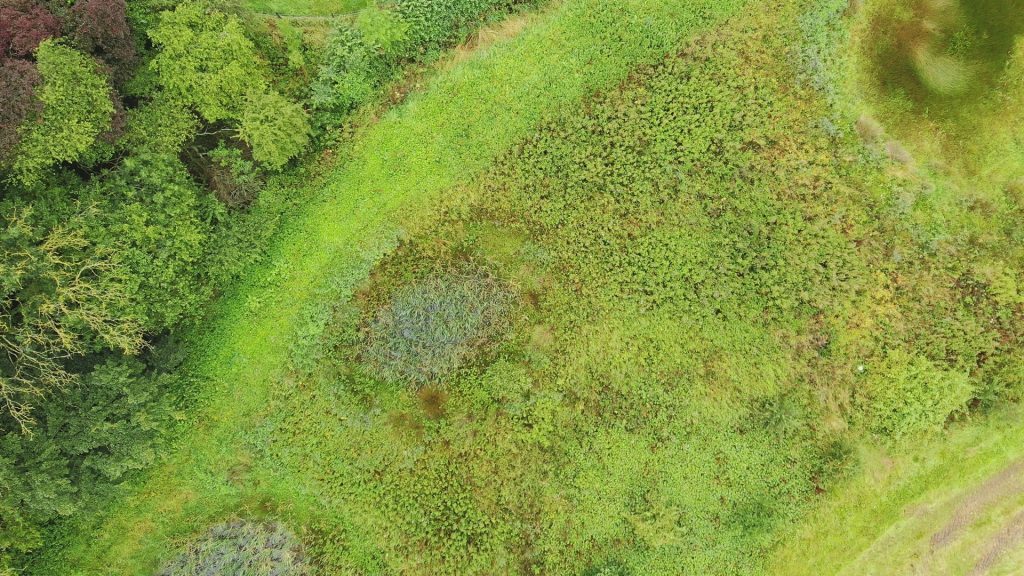 New ponds are crucial in battle to save freshwater wildlife | Water ...