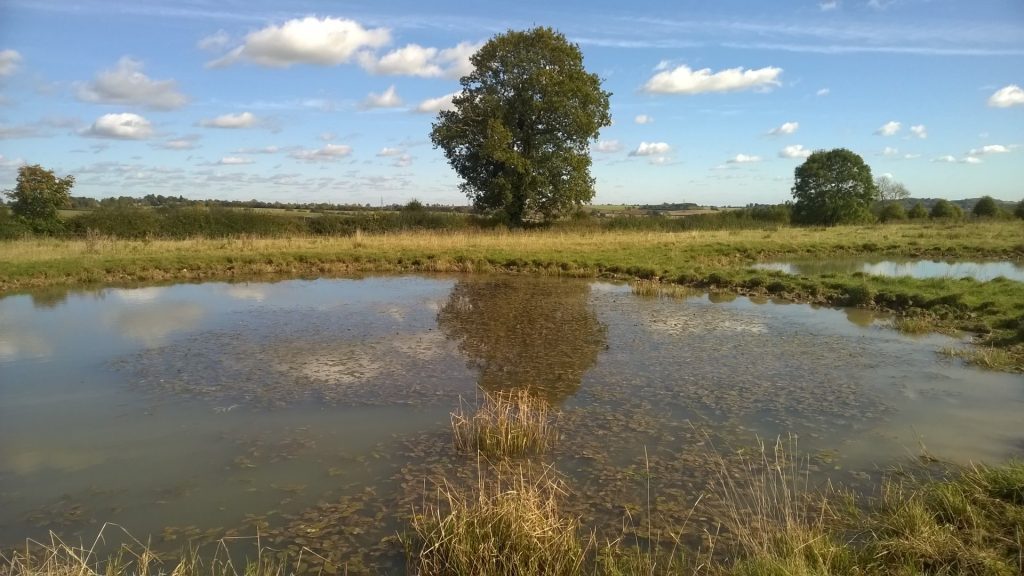 Water Friendly Farming Update 2016 | Water Friendly Farming