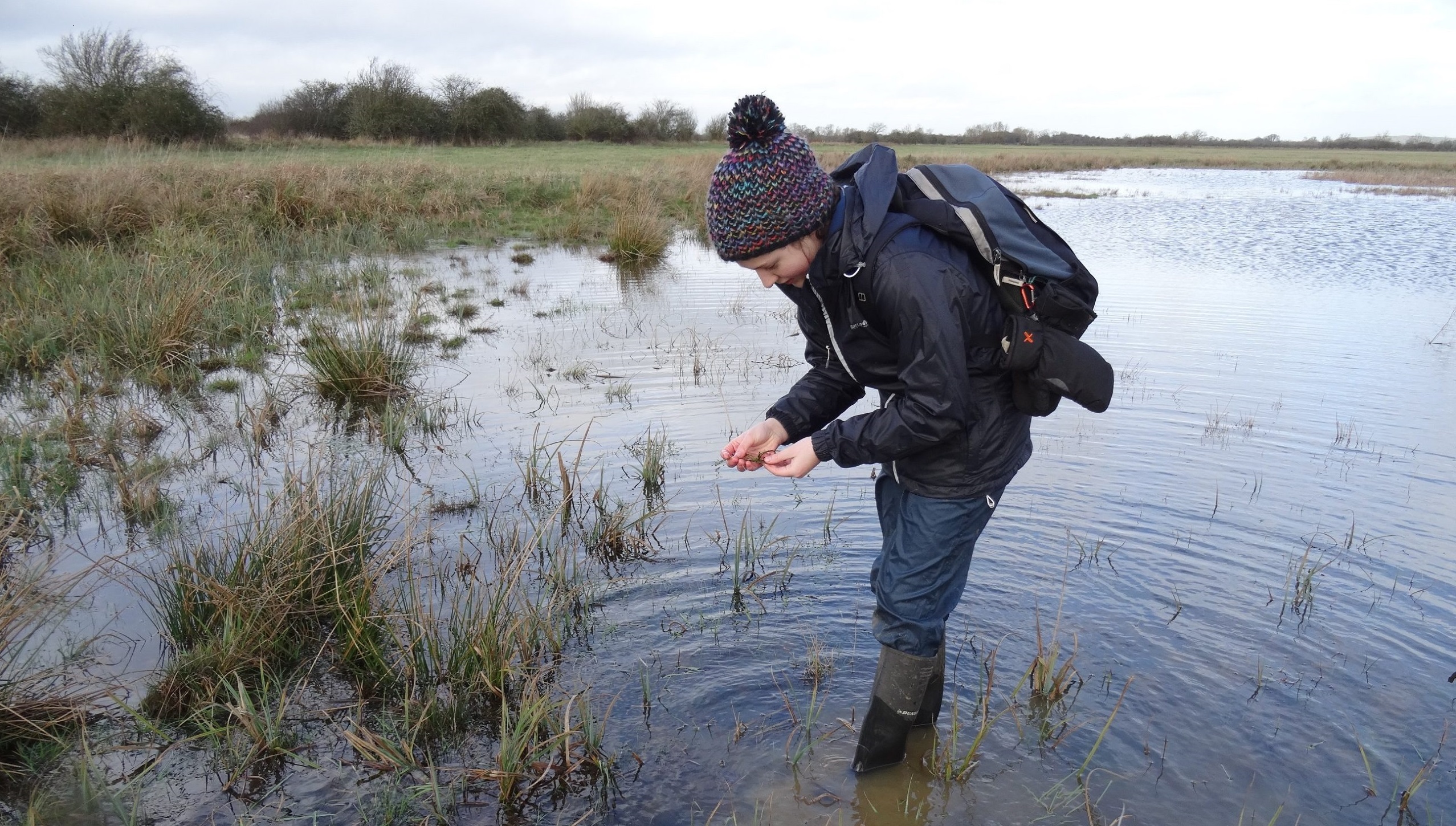 How to design leaky dams to reduce flood risk after multiple storms